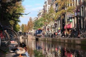 20 Best Amsterdam Red Light District Pictures